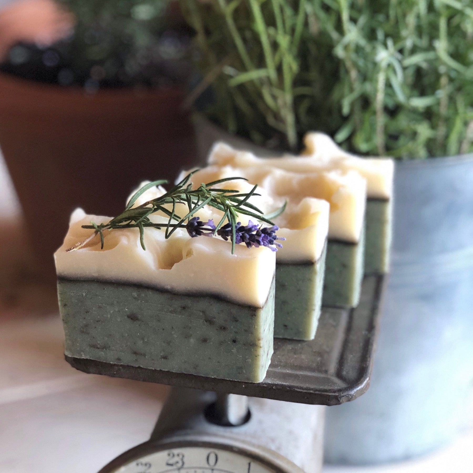 Handcrafted Soaps | Song of a Sparrow